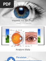 Pupil Isokor dan Anisokor: Penjelasan | PDF