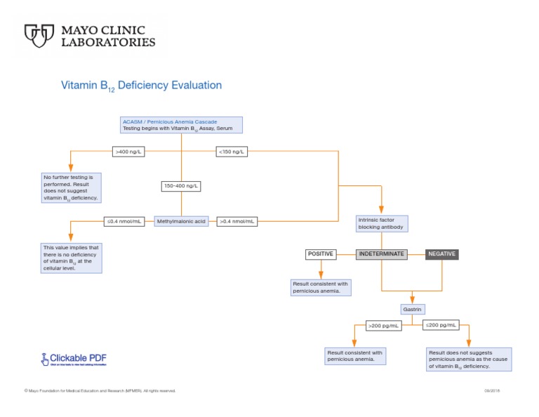Vitamin B12 Deficiency Evaluation | PDF