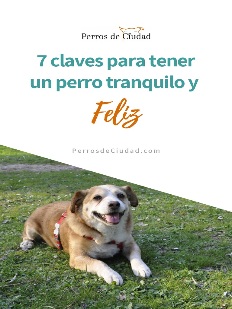 Claves para un Perro Tranquilo y Feliz | PDF | Perros | Estrés (biología)