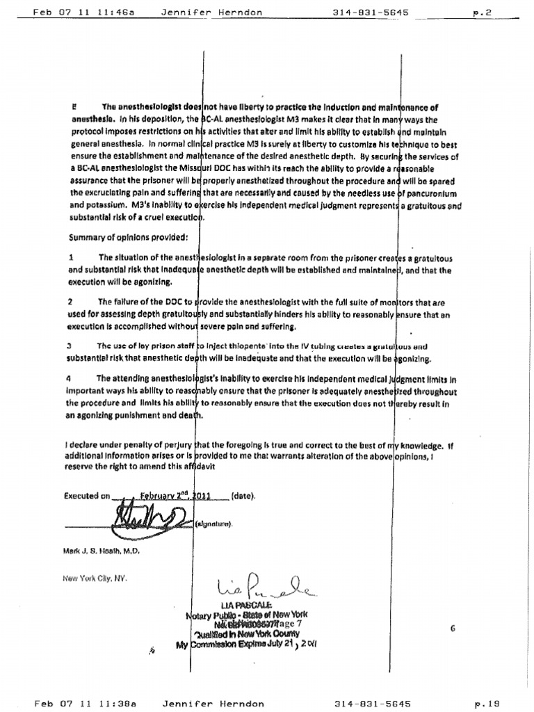 Execution Protocol | PDF