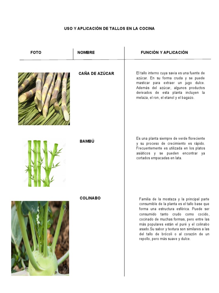 Usos y aplicaciones de tallos en la cocina | PDF | Azúcar | Dieta y ...
