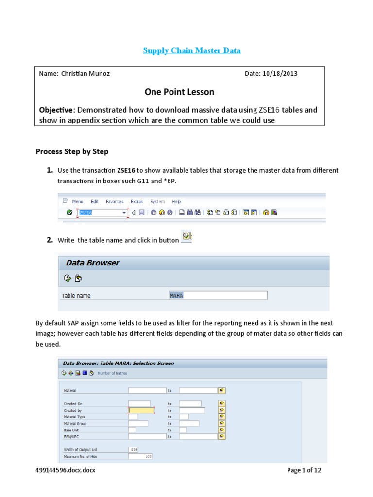 OPL 07 ZSE16 Reporting and Tables | PDF | Databases | Parameter ...