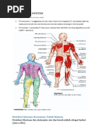 Peta Dermatome dan Inervasi Saraf | PDF