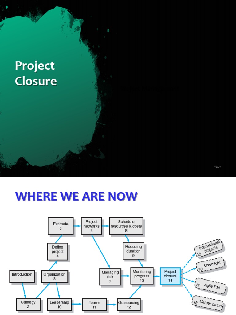 Understanding Project Closure Essentials | PDF | Evaluation | Business