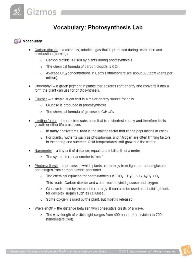 Vocabulary: Photosynthesis Lab | PDF