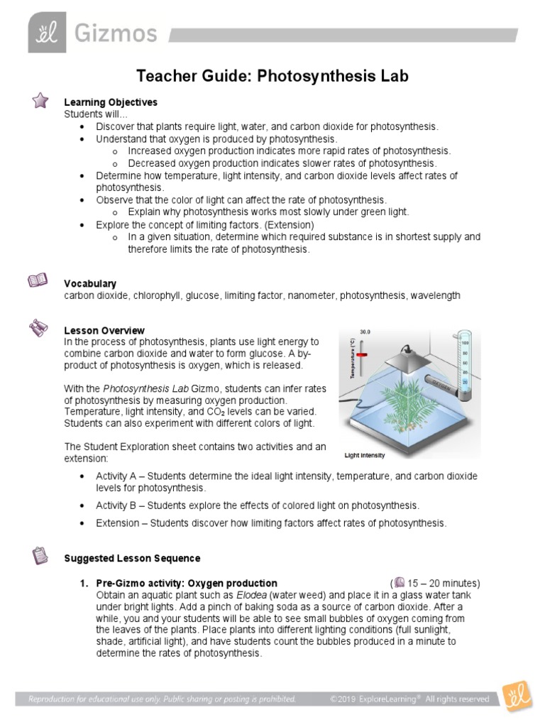 Teacher Guide: Photosynthesis Lab: Learning Objectives | Download Free ...