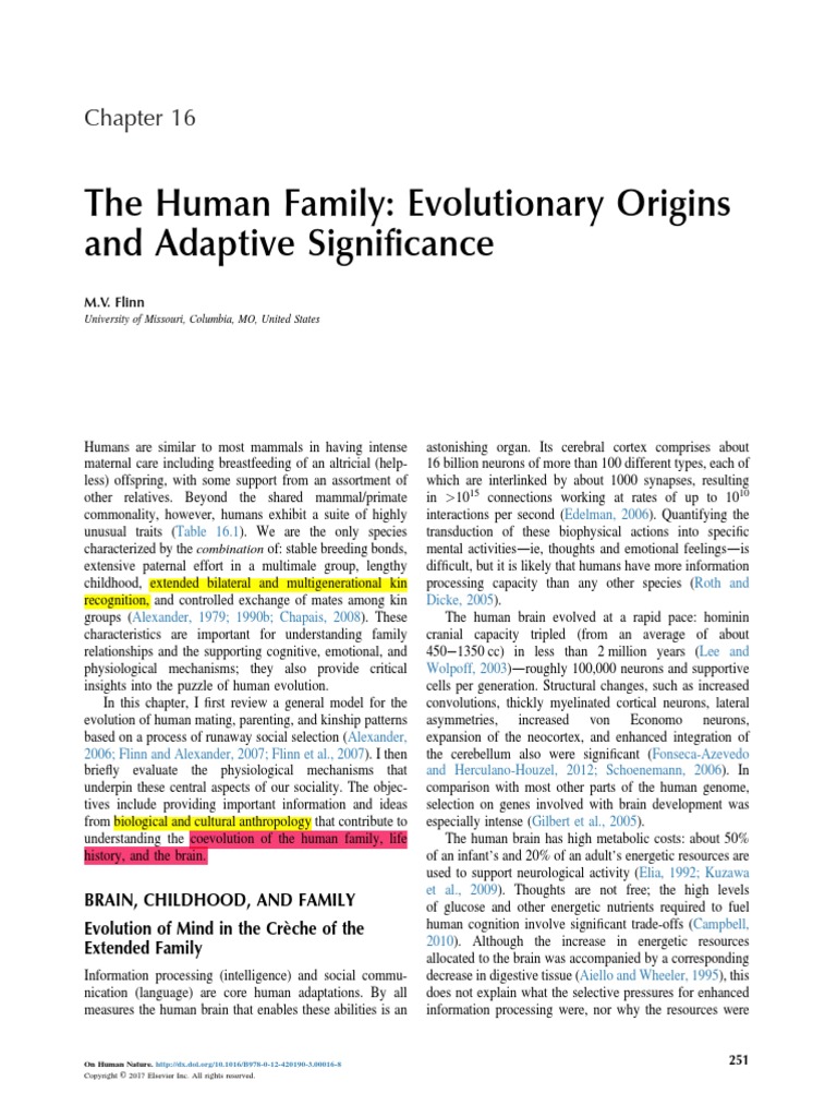 Evolutionary Origins Family | PDF | Kinship | Attachment Theory