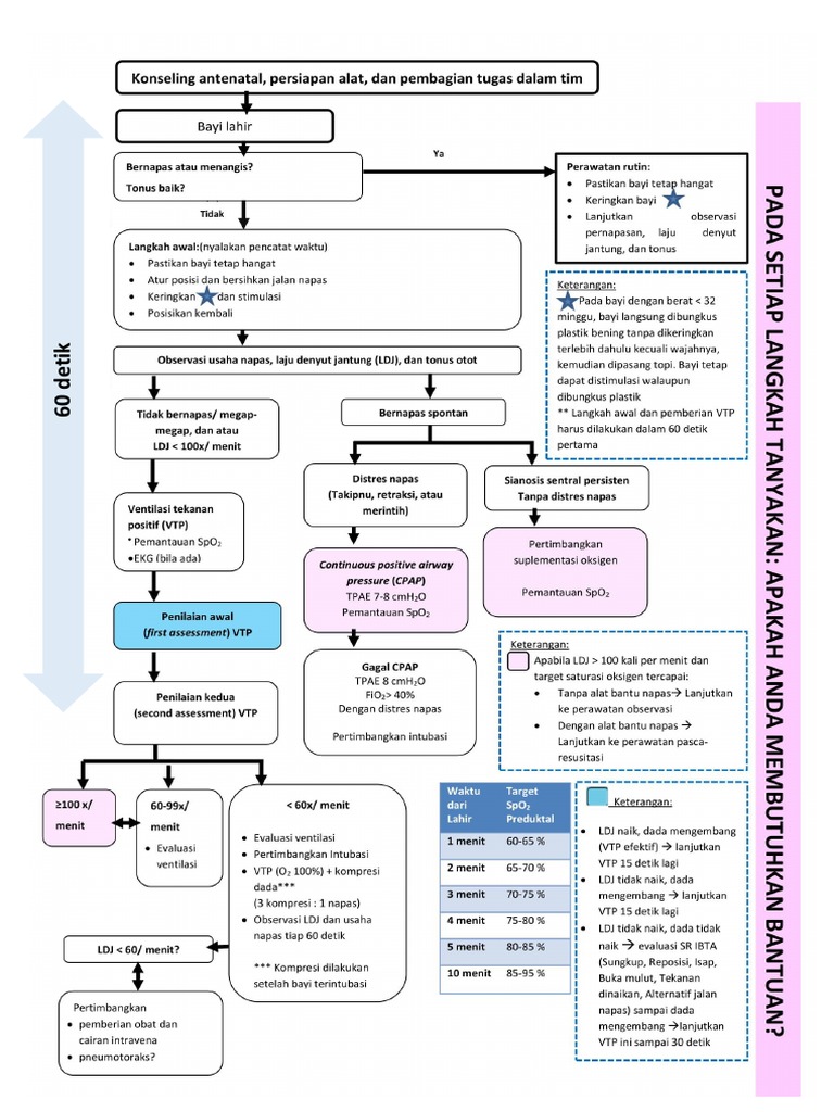 Alur Resusitasi Neonatus 2018 PDF | PDF