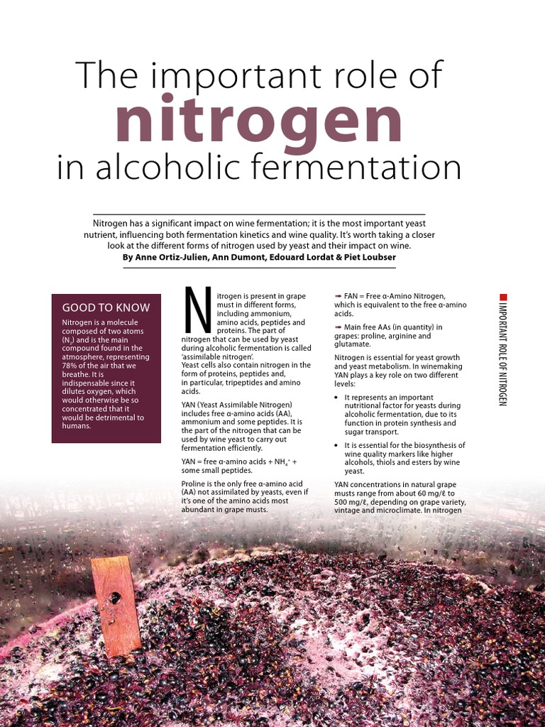 Important Role of Nitrogen PDF | PDF | Cooking, Food & Wine | Science ...