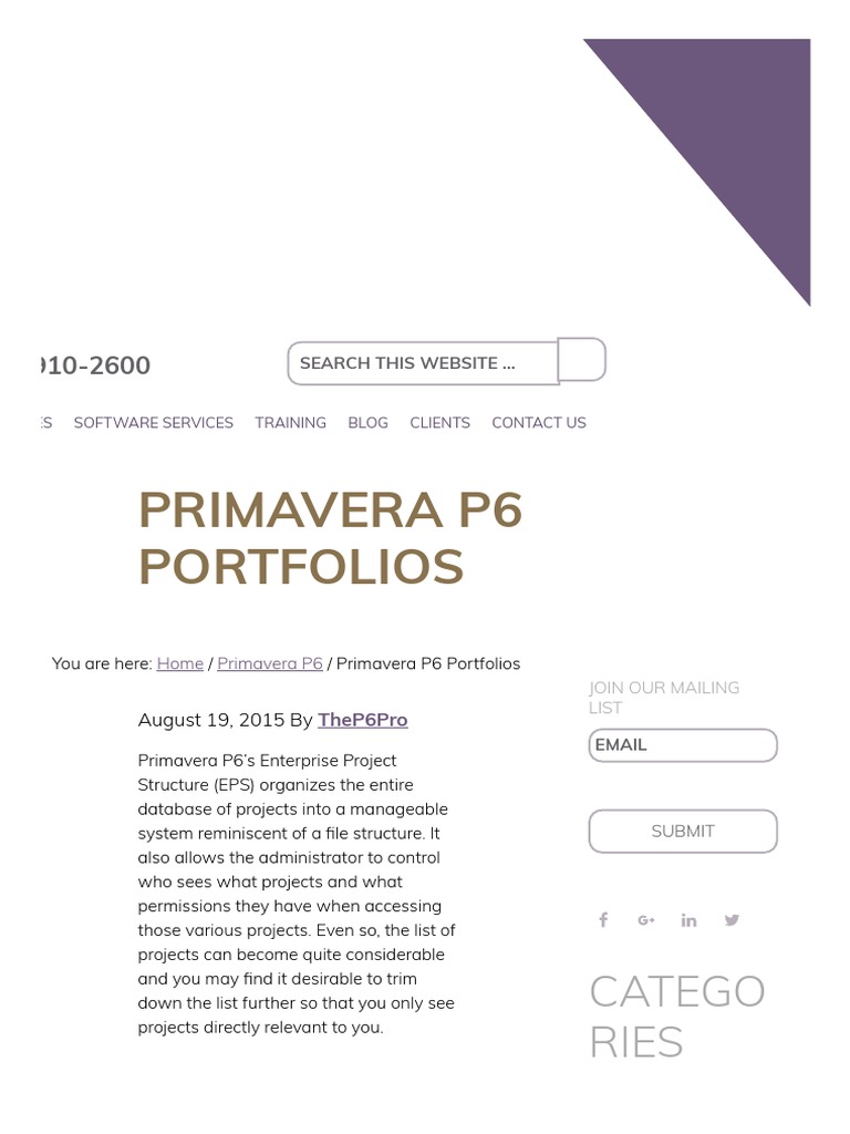 Primavera P6 Portfolios - Ten Six Consulting | PDF | Icon (Computing) | Computing
