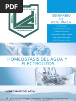 Mapa Conceptual Liquidos y Electrolitoss | PDF | Potasio | Dieta y nutrición