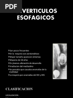 2) Clasificacion Esofagitis | PDF | La enfermedad por reflujo ...