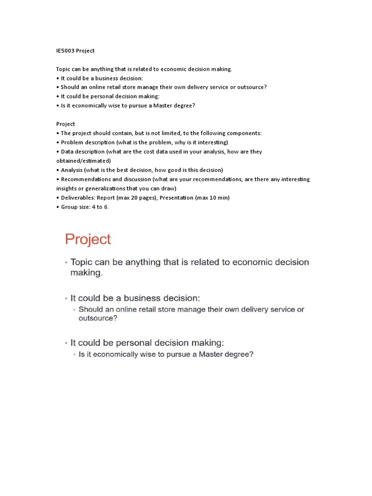 Economic Decision-Making Project IE5003 | PDF | Business