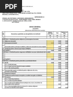 Deviz - General - Model - Excel - Conform - HG - 907 (Version 1) | PDF