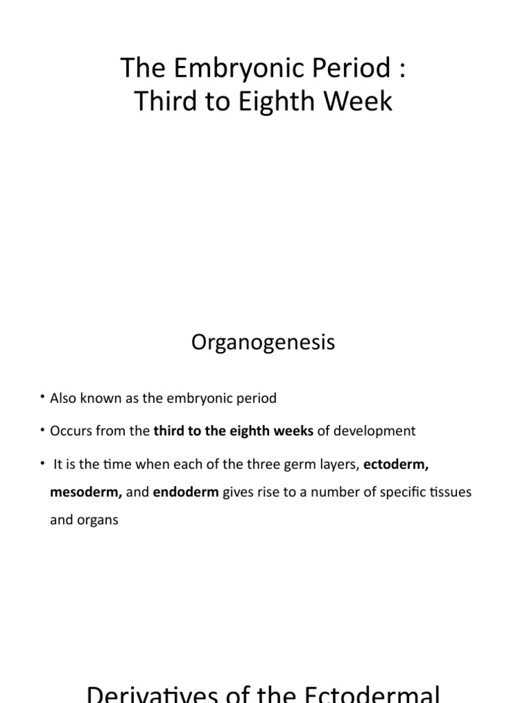 Third To Eighth Week | PDF | Anatomy | Developmental Biology
