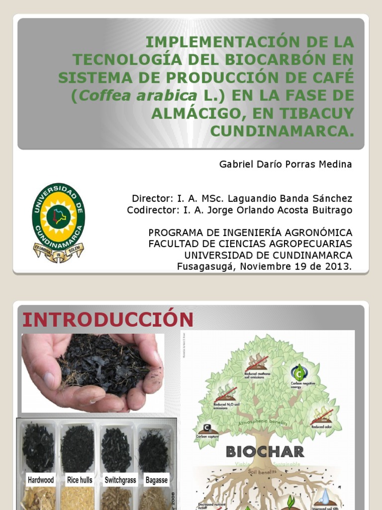 Resumen Inv. Biochar Café | PDF | Horticultura y jardinería | Agricultura