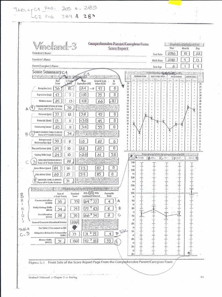 Vineland 3 - Ejemplo | PDF
