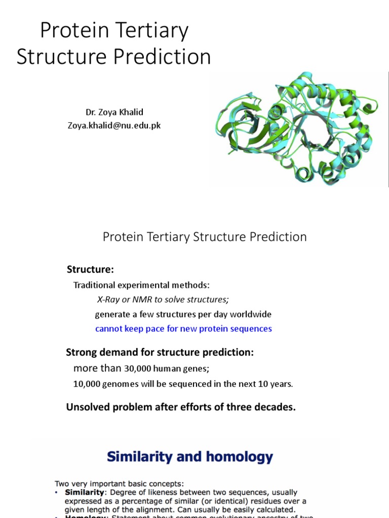 3D Structure Prediction | PDF | Protein Folding | Proteins