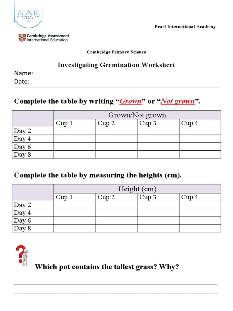 Investigating Germination Worksheet | PDF