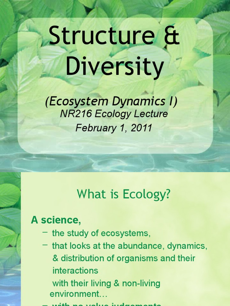 2011 Lecture 4a Ecosystem Dynamics I Pdf Ecological Niche