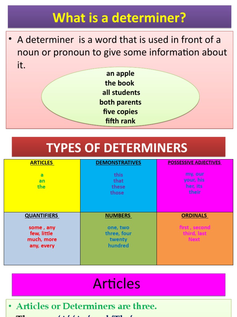 What Is A Determiner? | PDF | Grammatical Number | Noun