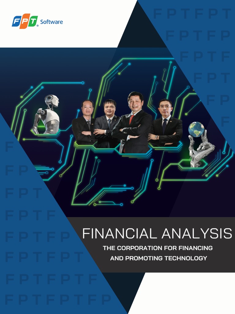FPT Corporation Financial Analysis Report | PDF | Leverage (Finance) | Equity (Finance)