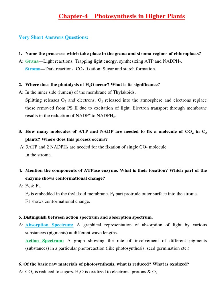 Chapter-4 Photosynthesis in Higher Plants: Very Short Answers Questions ...
