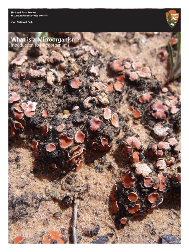 What Is A Microorganism?: Introduction To Microorganisms | PDF ...