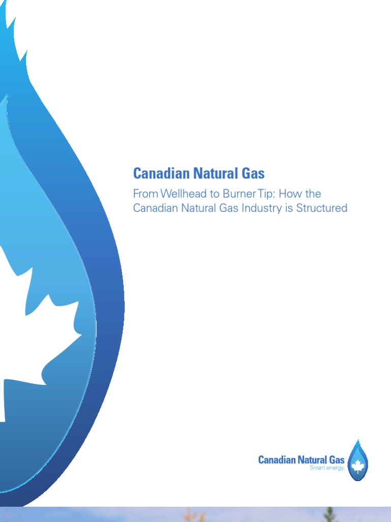 From Wellhead To Burner Tip: How The Canadian Natural Gas Industry Is ...