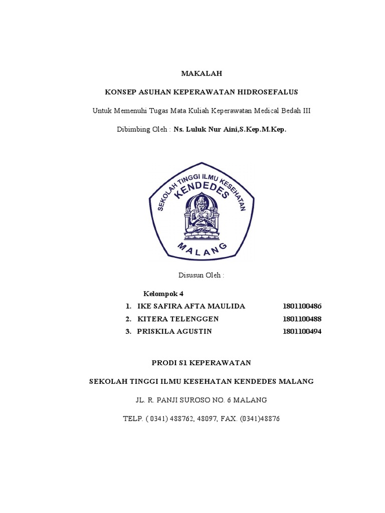 Makalah Hidrosefalus Kel.4 Baru | PDF