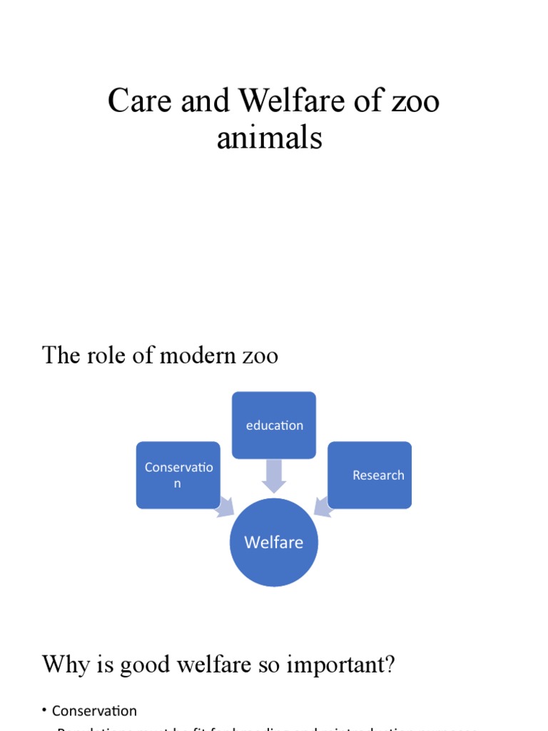 Care and Welfare of Zoo Animals | PDF | Animal Welfare | Zoo