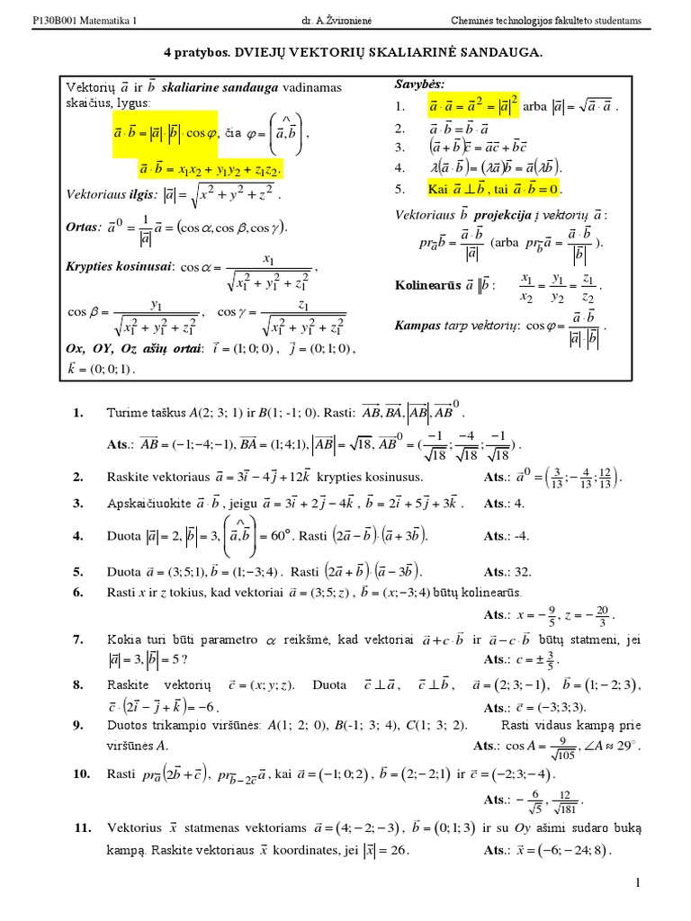 4,5,6 Pratybos. Vektorine Sand | PDF