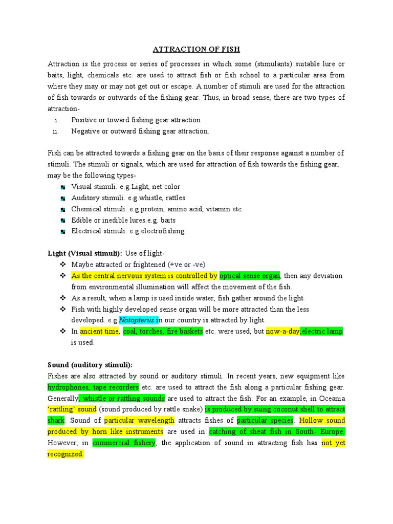 How Fish Are Attracted For Fishing | PDF | Fish | Stimulus (Physiology)