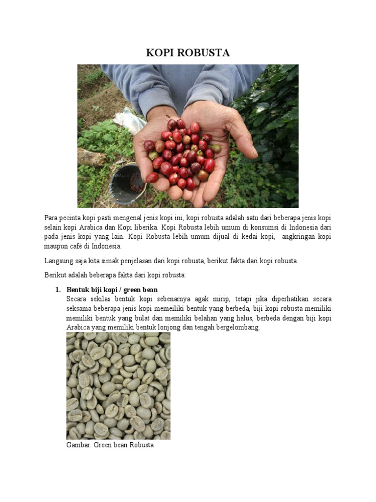 Kopi Robusta | PDF