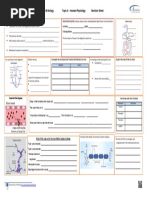 Magnification Worksheet | PDF | Units Of Measurement | Teaching Mathematics