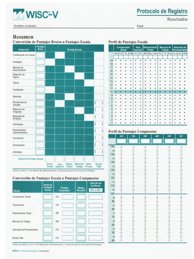 Protocolo Registro WISC V | PDF