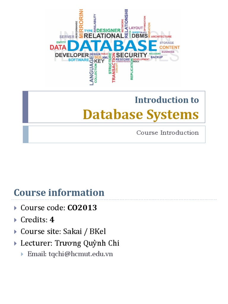 Introduction To Database Systems | PDF