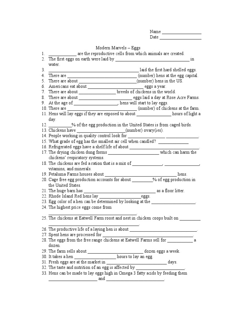 Modern Marvels - Egg | PDF | Chicken | Egg As Food