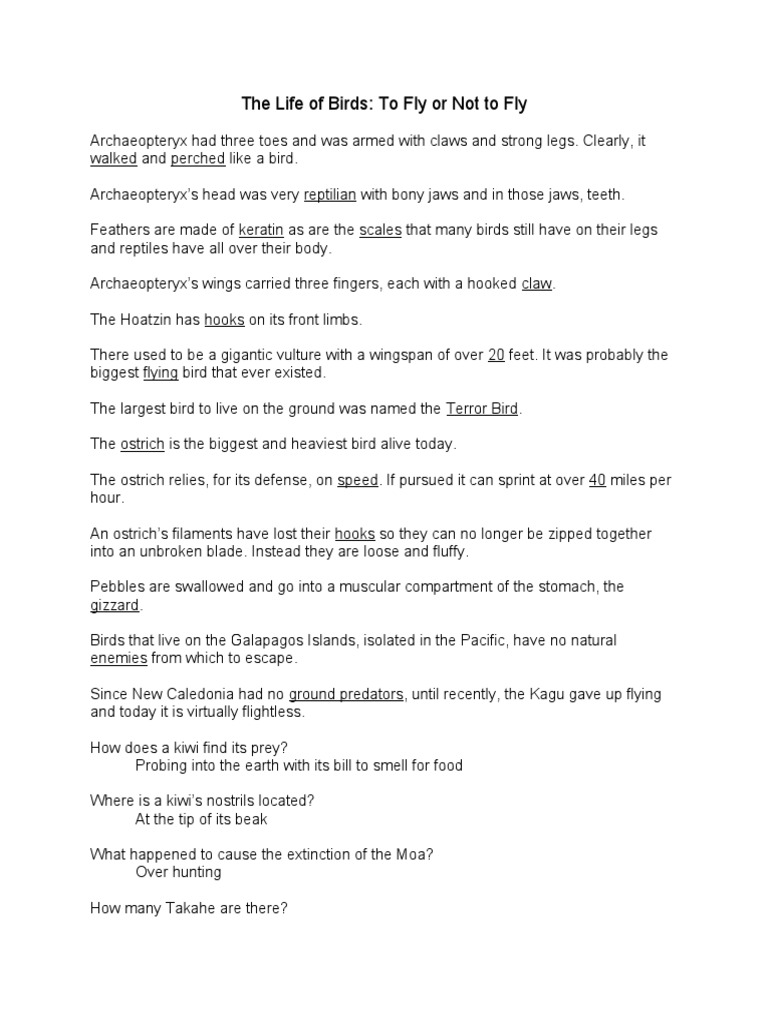 To Fly or Not To Fly Video Answers | PDF