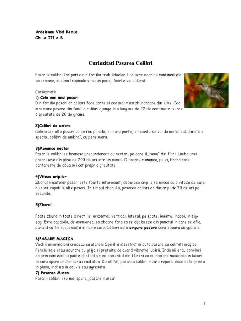 Pasarea Colibri | PDF