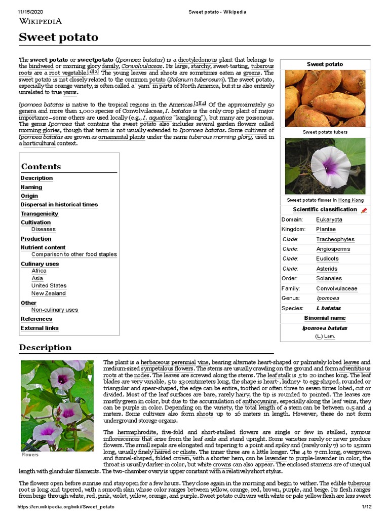 Sweet Potato | PDF | Sweet Potato | Potato