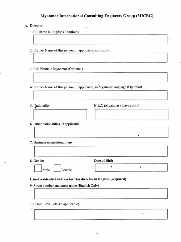 CV Form To Register in DICA | PDF