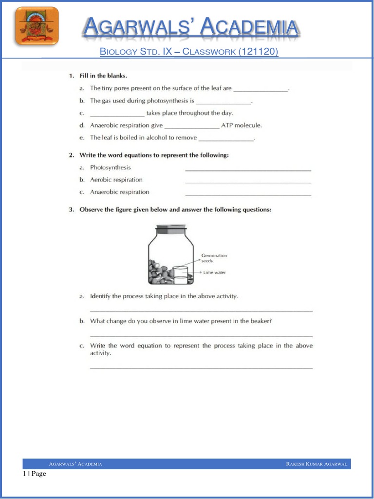 Class 9 Biology Photosynthesis and Respiration Classwork 121110 | PDF