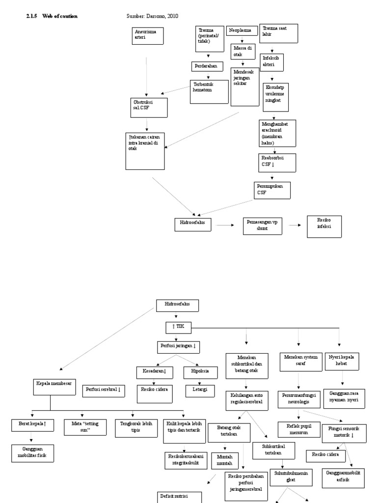 WOC Hidrocefalus New | PDF