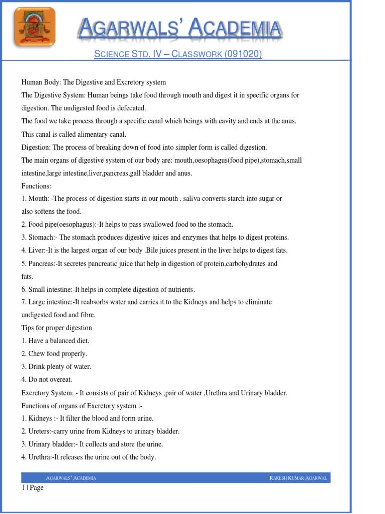 Class 5 Science Classwork 091020 | PDF | Digestion | Human Digestive System