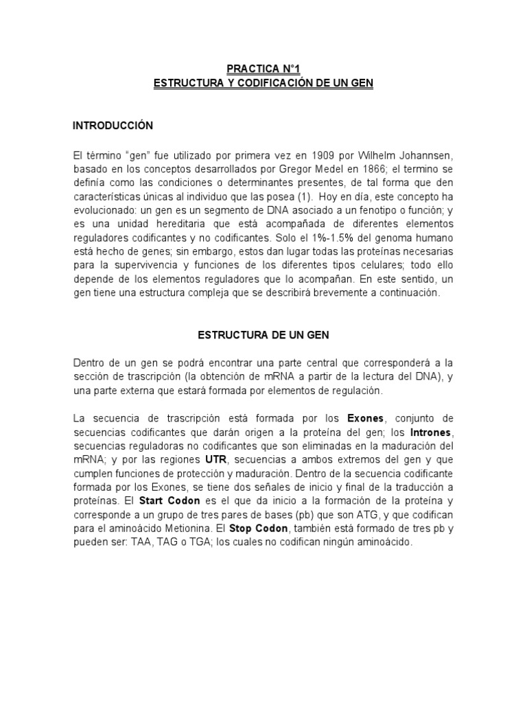 Práctica N1 partes de un gen | PDF | Gene | Mutación