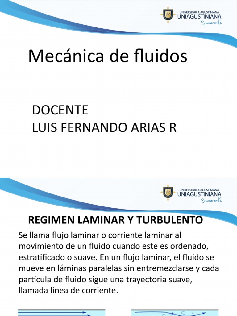 Régimen Laminar y Turbulento | PDF | Flujo laminar | Numero Reynolds