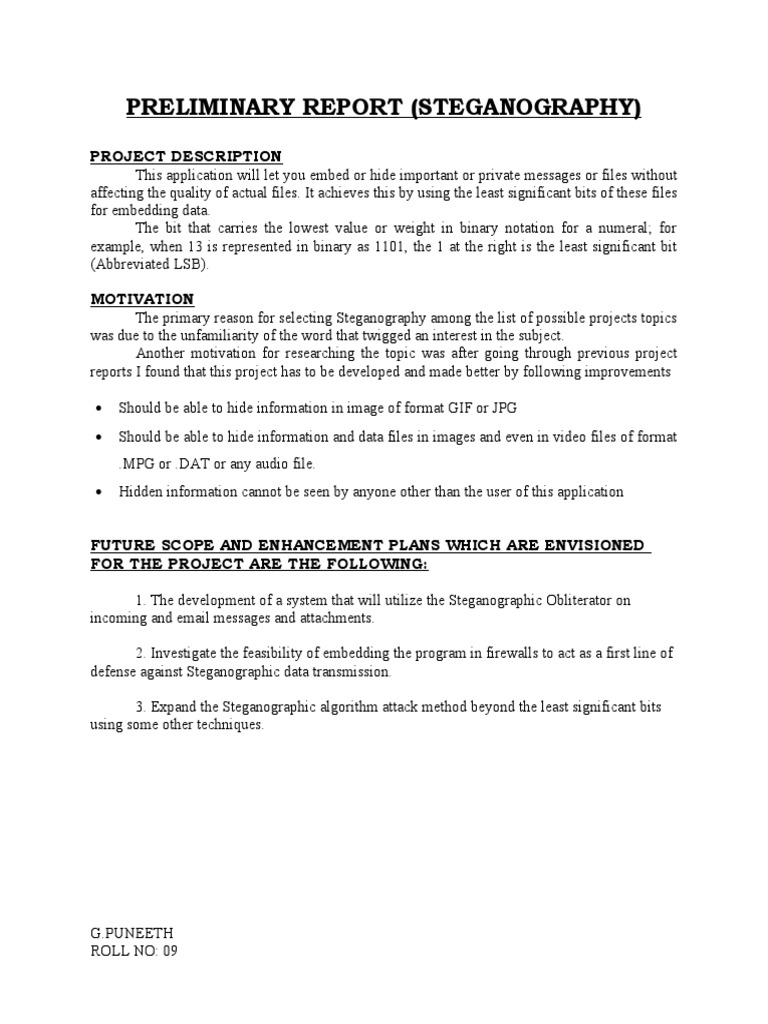 Preliminary Report (Steganography) : Project Description | PDF
