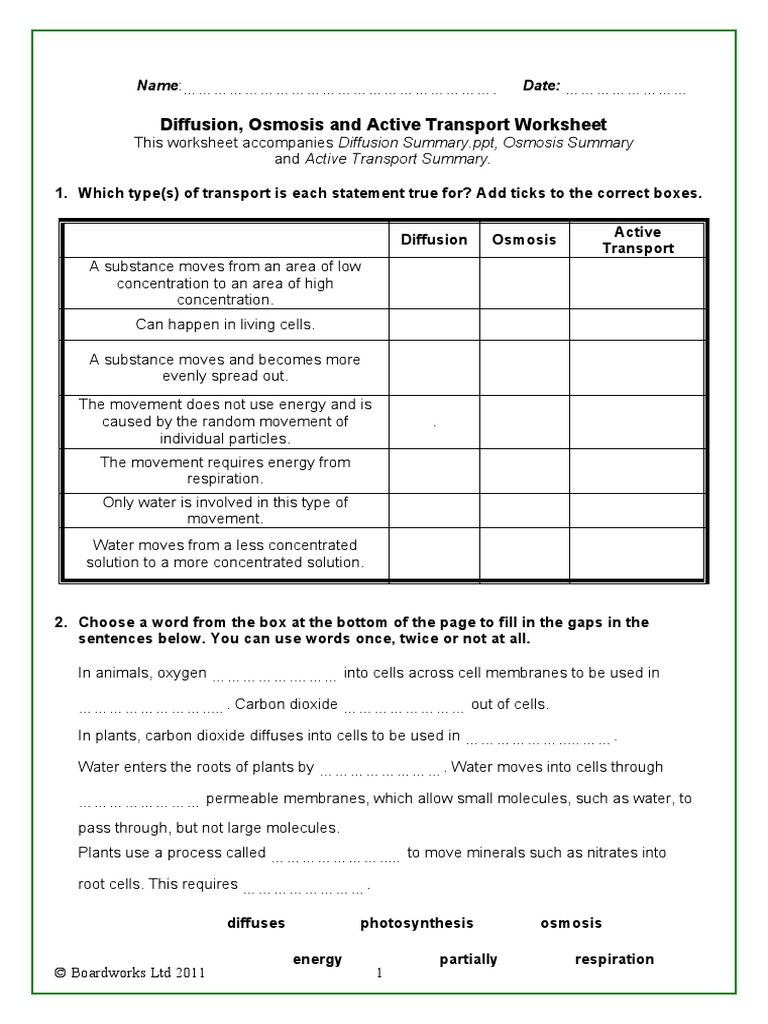 Diffusion, Osmosis and Active Transport Worksheet: Name: . Date | PDF ...