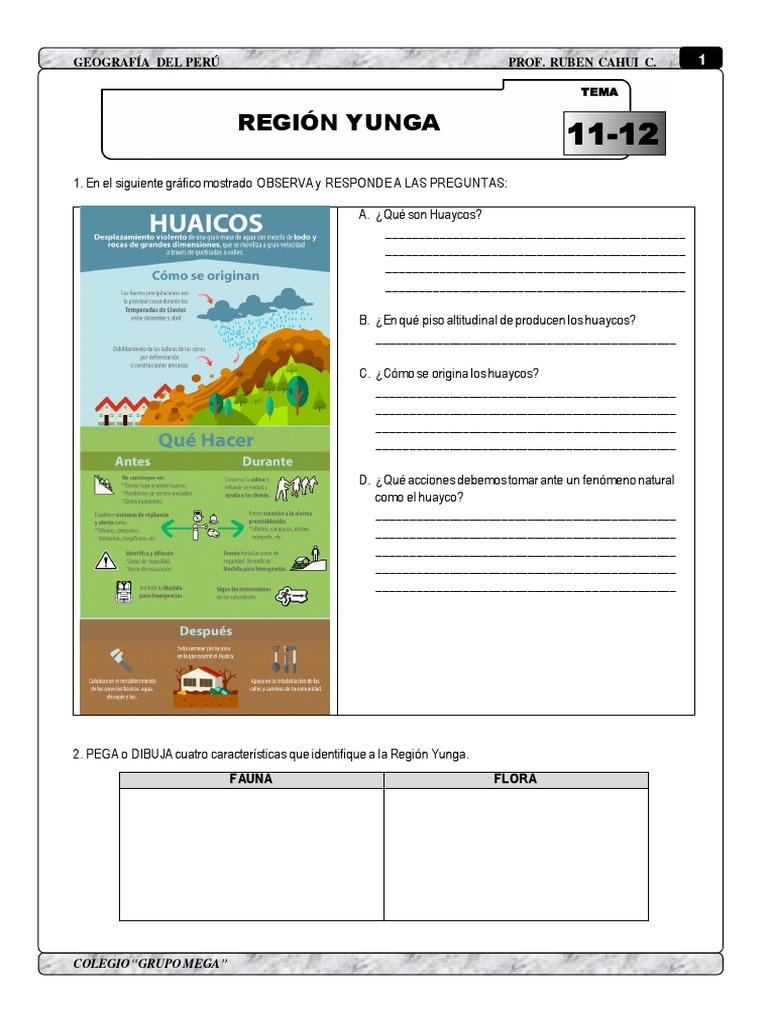 Región Yunga - TAREA PDF | PDF
